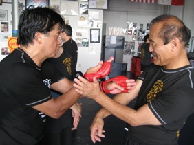 Lee Jun Fan Gung Fu - Progressive Martial Arts Academy International